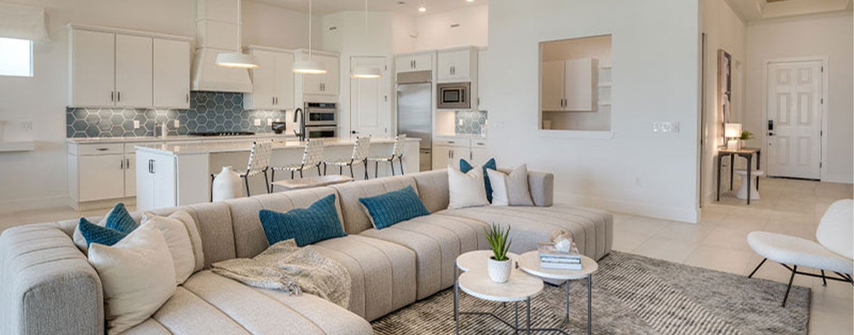 Babcock Ranch Innovation Way | Case Study