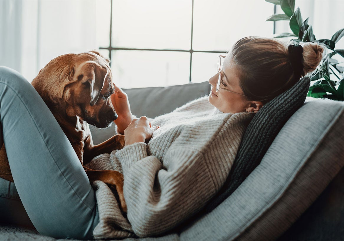 Motion Sensor Light Switches | Leviton Manufacturing