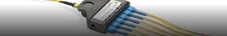 OPT-X E2X Engage Global Fiber System | Leviton Network Solutions